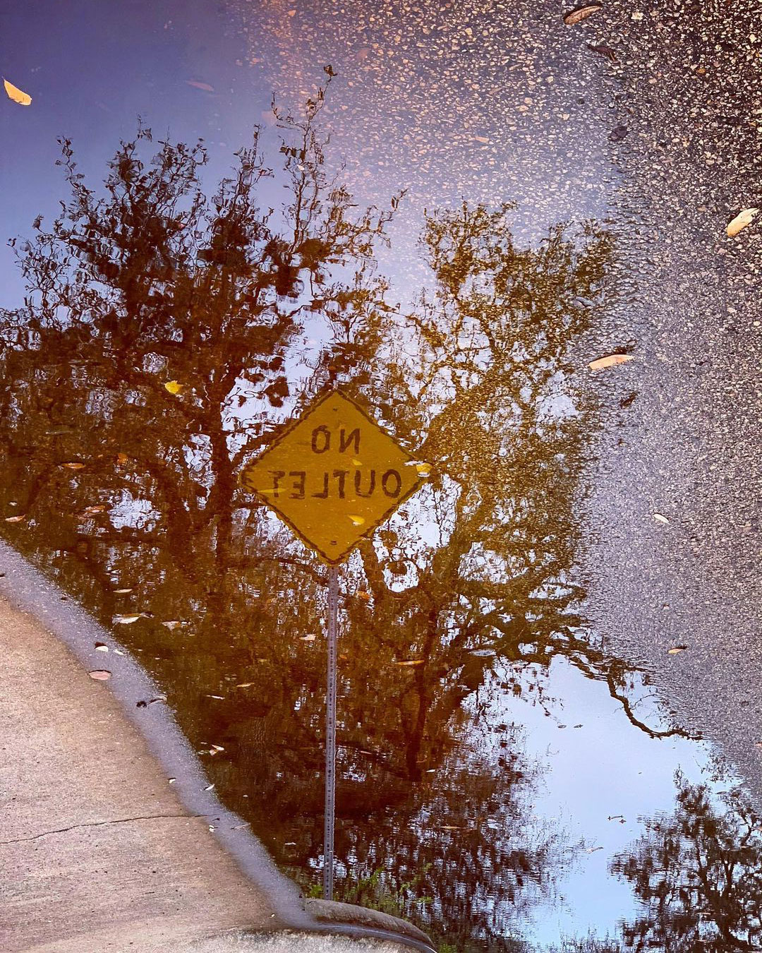 Austin Kleon is a writer who draws. - Part 22