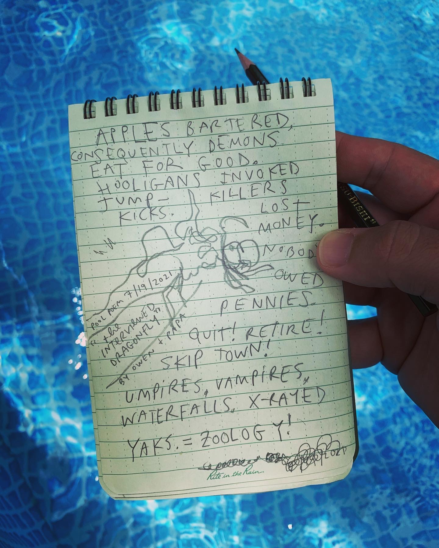 Pool poems - Austin Kleon