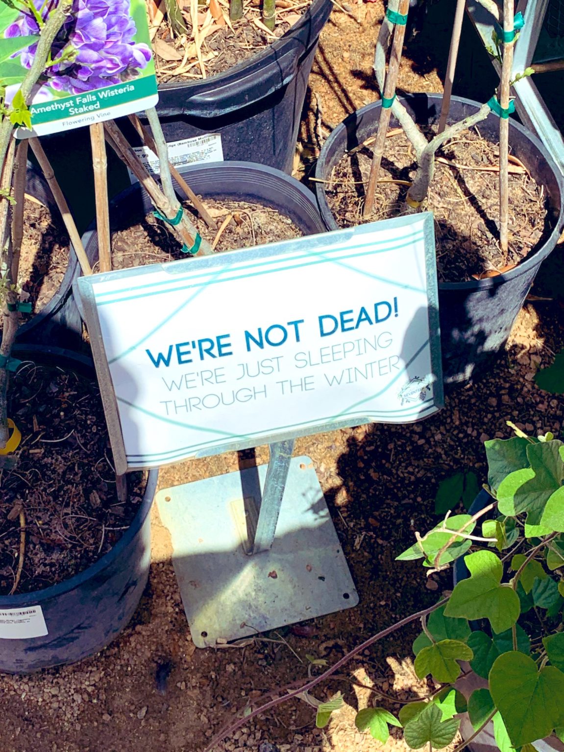 Gardening signs - Austin Kleon