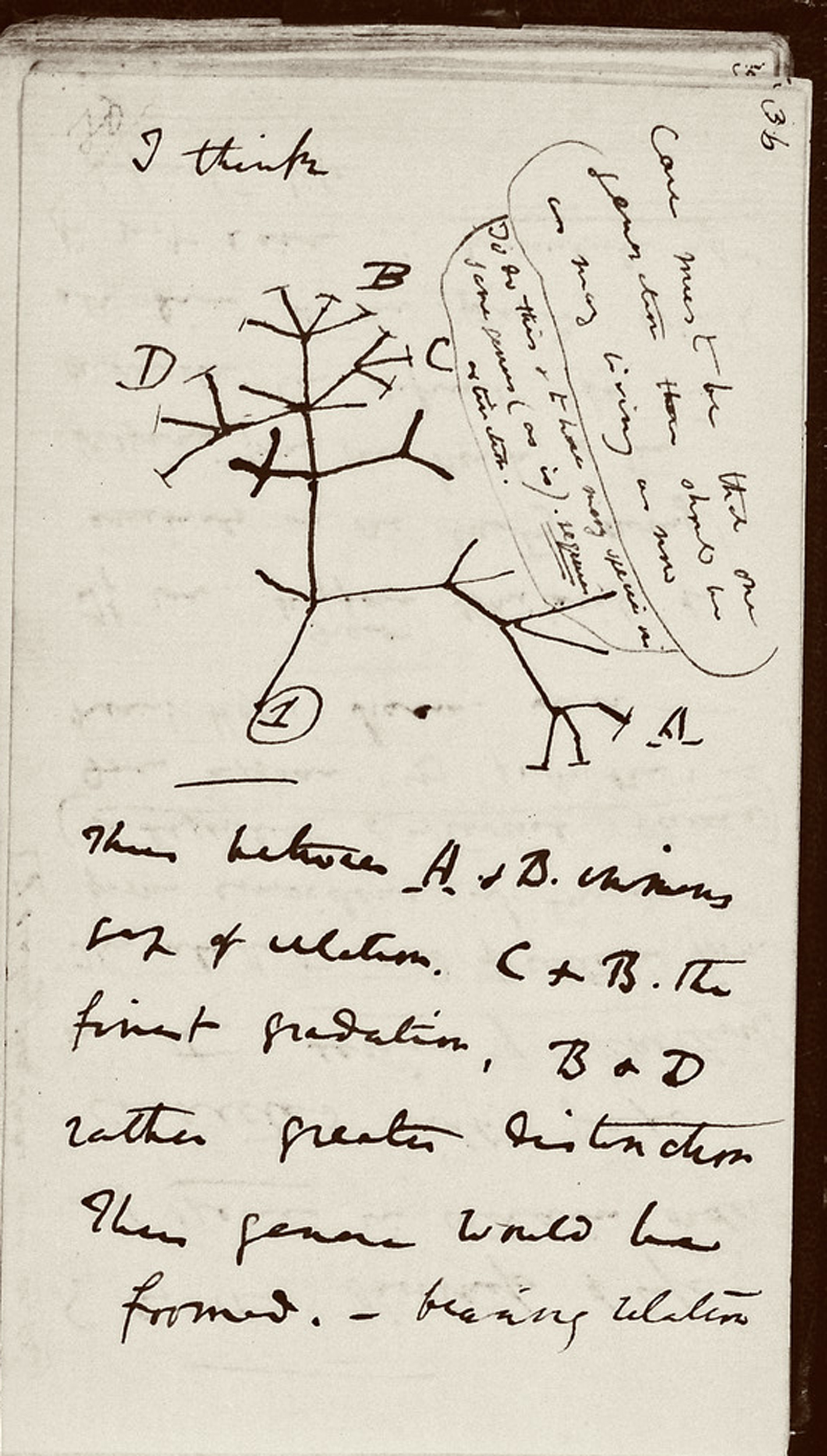 How Darwin started keeping a journal - Austin Kleon